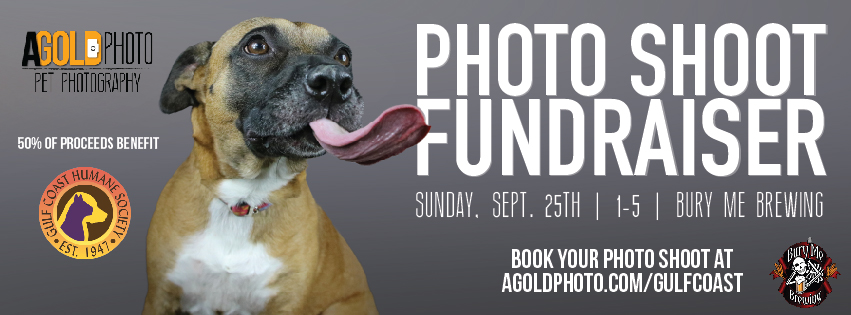 Photo Shoot Fundraiser_Event BanneR-01 - AGoldPhoto Pet Photography