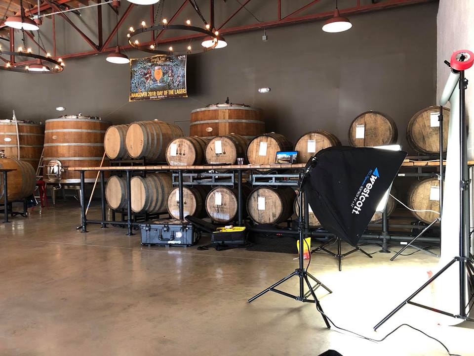 Online Course: How to Plan an Entire Pet Photo Shoot Fundraiser ...