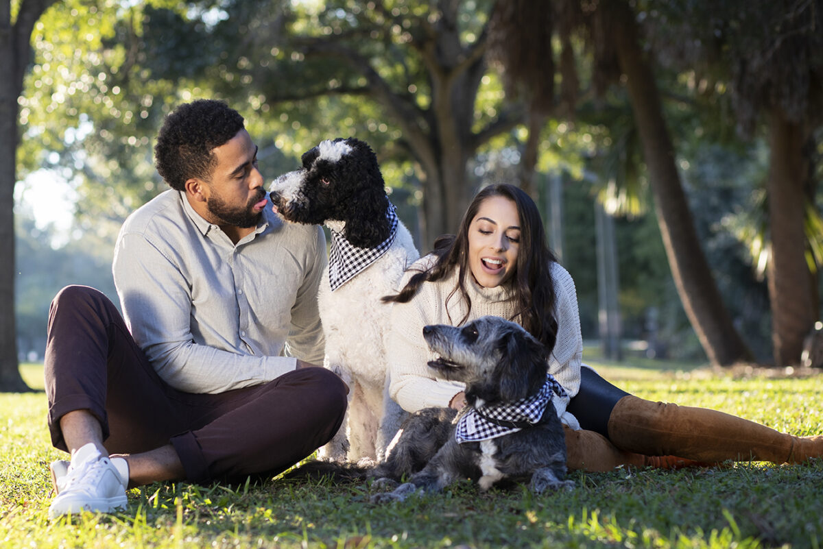 Pets and People Photo Shoot Archives - AGoldPhoto Pet Photography