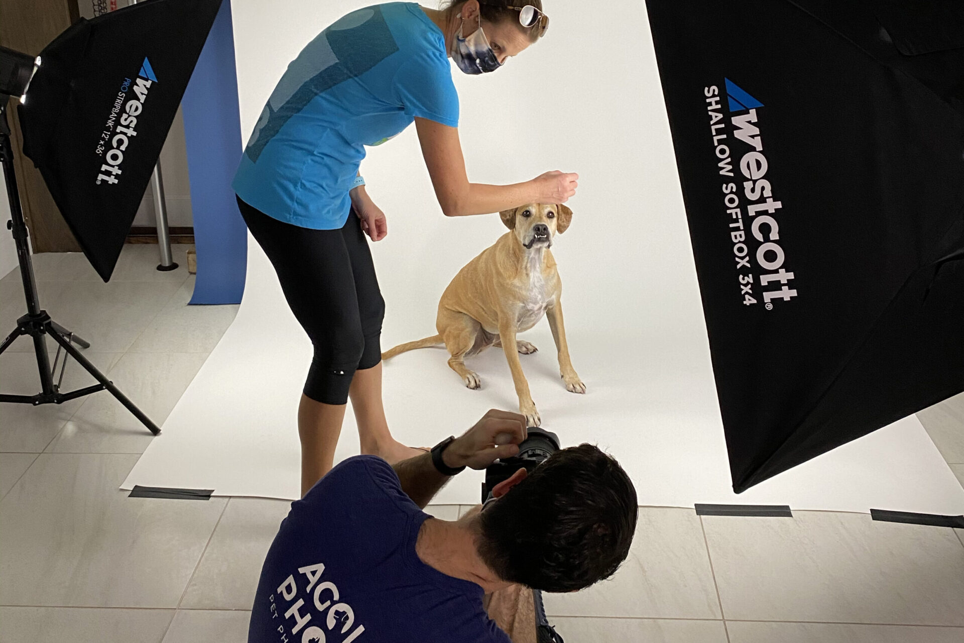 A Brick and Mortar Pet Photo Studio in Tampa? That's a thing ...