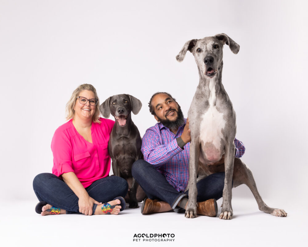 Florida Pet Photo Studio - AGoldPhoto Pet Photography