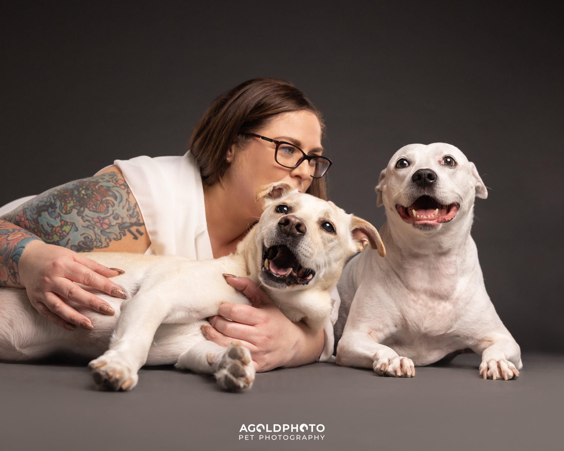 Live Studio Pet Photography | Pets & People - AGoldPhoto Pet Photography