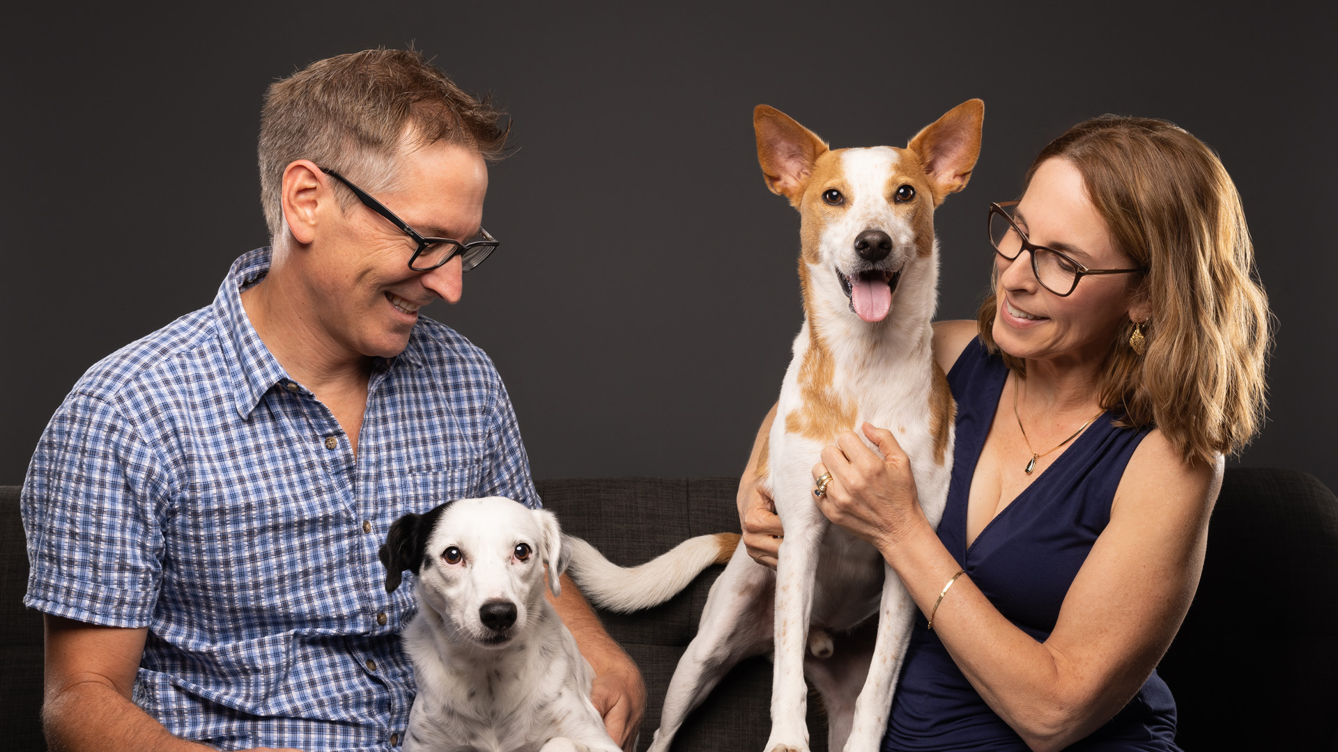 Pricing - AGoldPhoto Pet Photography