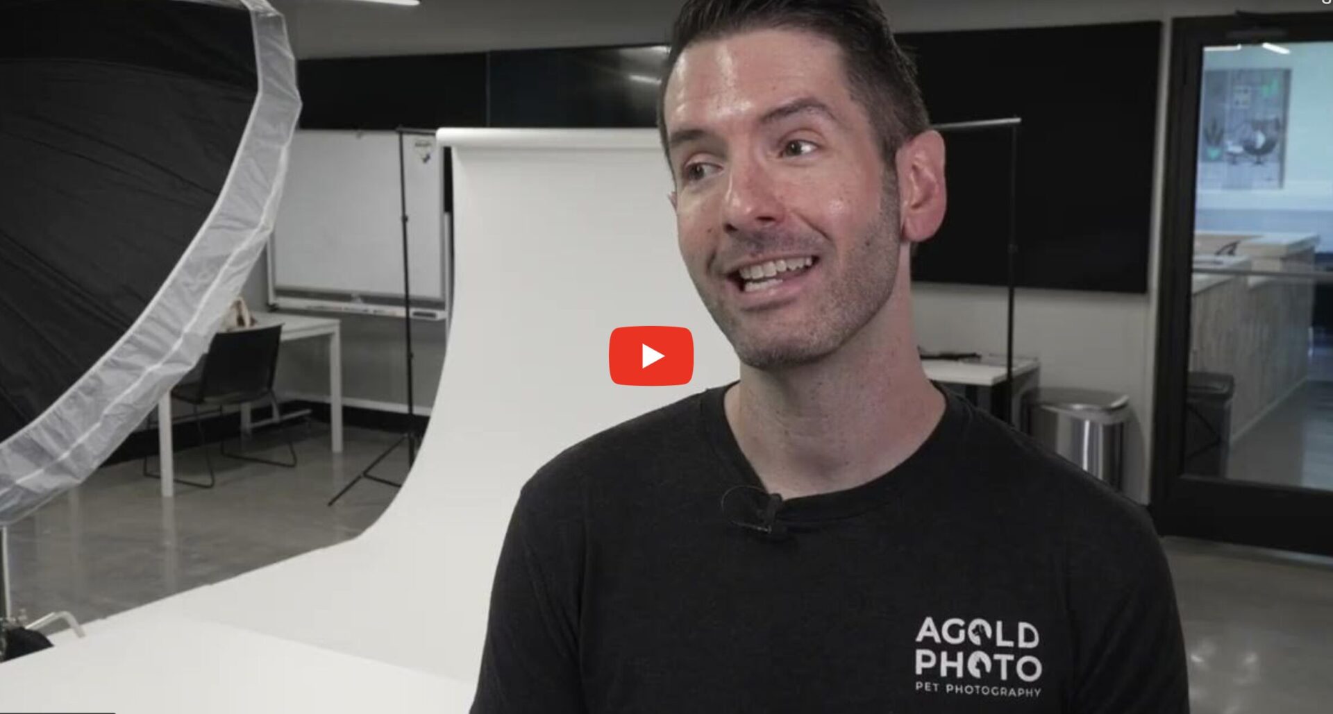 AGoldPhoto Pet Photography Named Philanthropic Partner of the Year ...