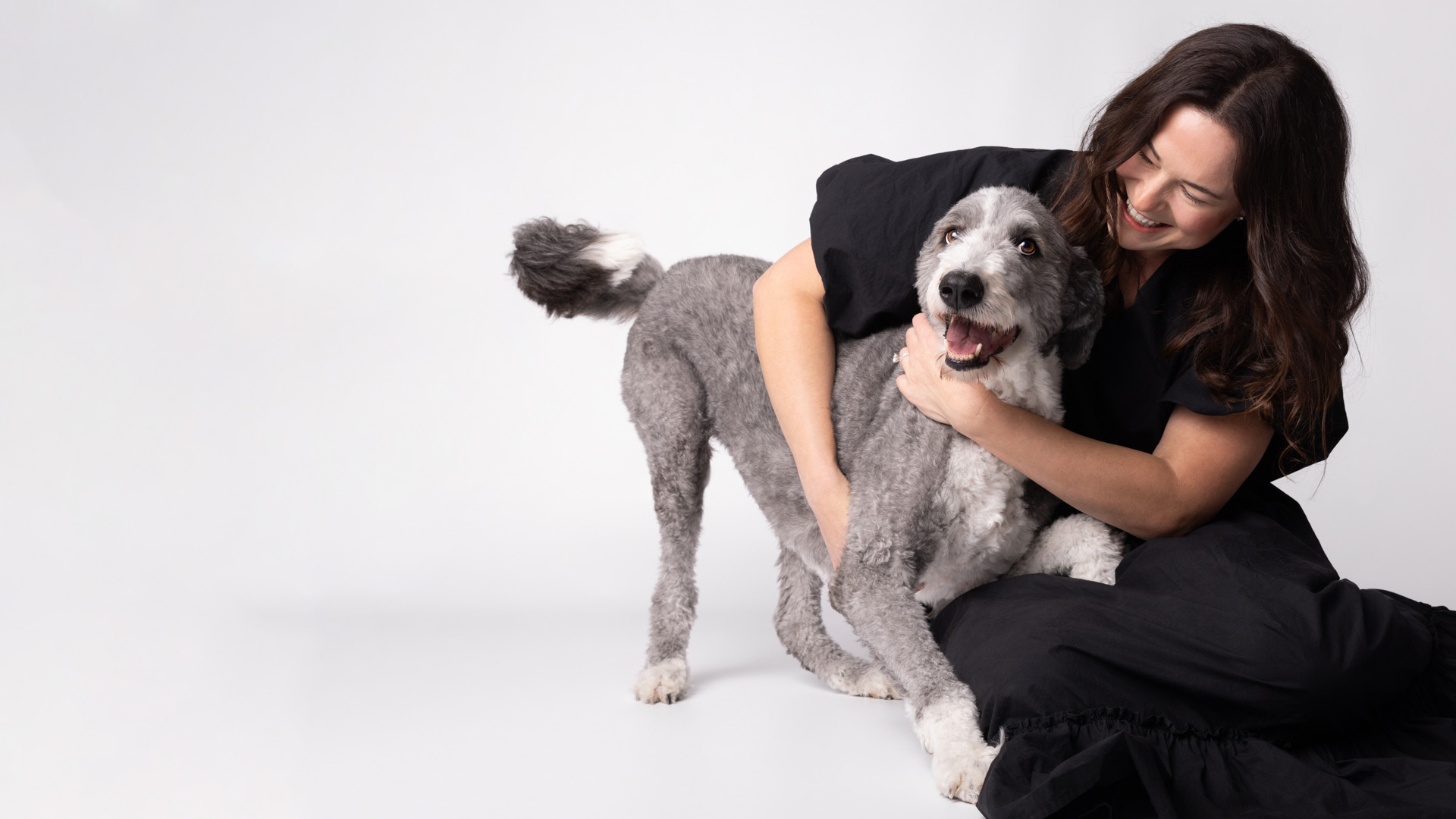 Tampa Pet Photo Studio_Edit_C02A5031_Album-social - AGoldPhoto Pet ...